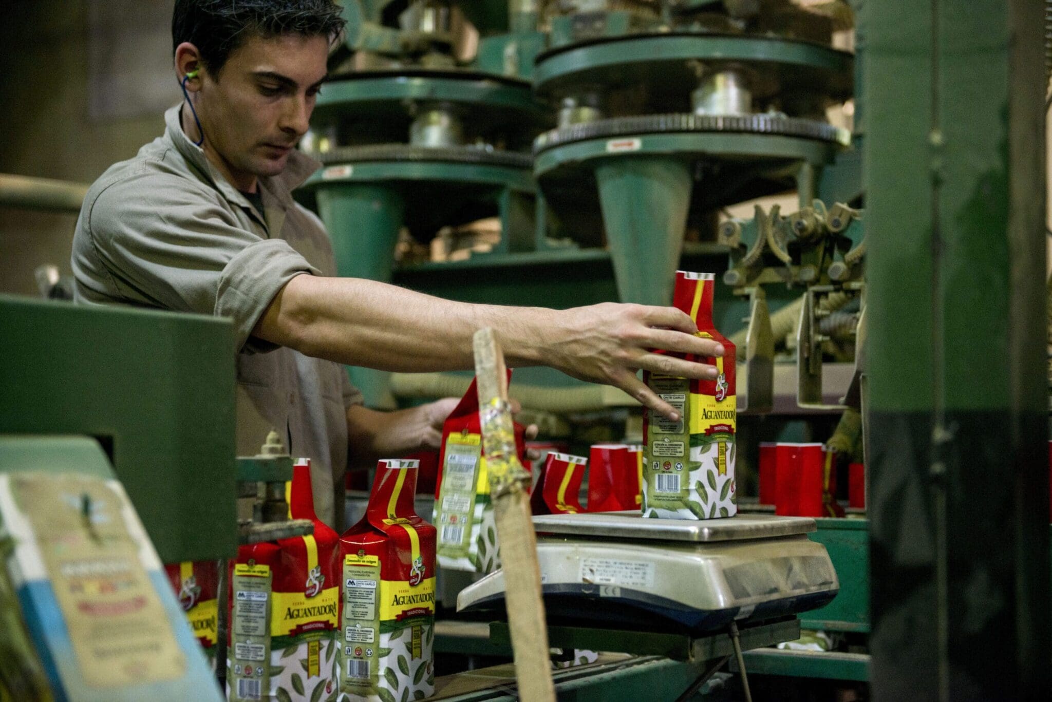 Desde 2016 no se consume tan poca yerba mate | Cenital